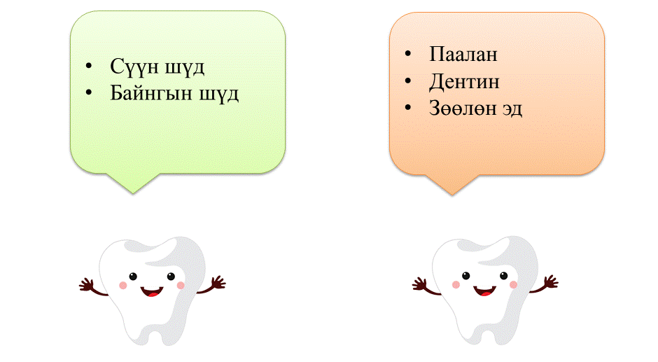 Мэдлээ Цахим контент